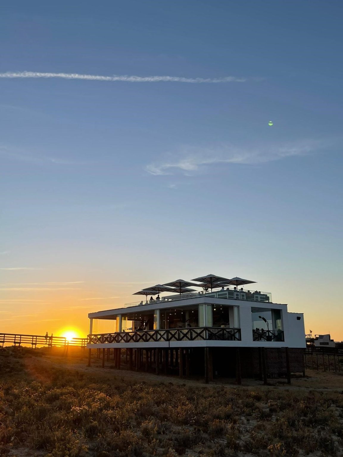 The Bold Octopus – Loyola Group