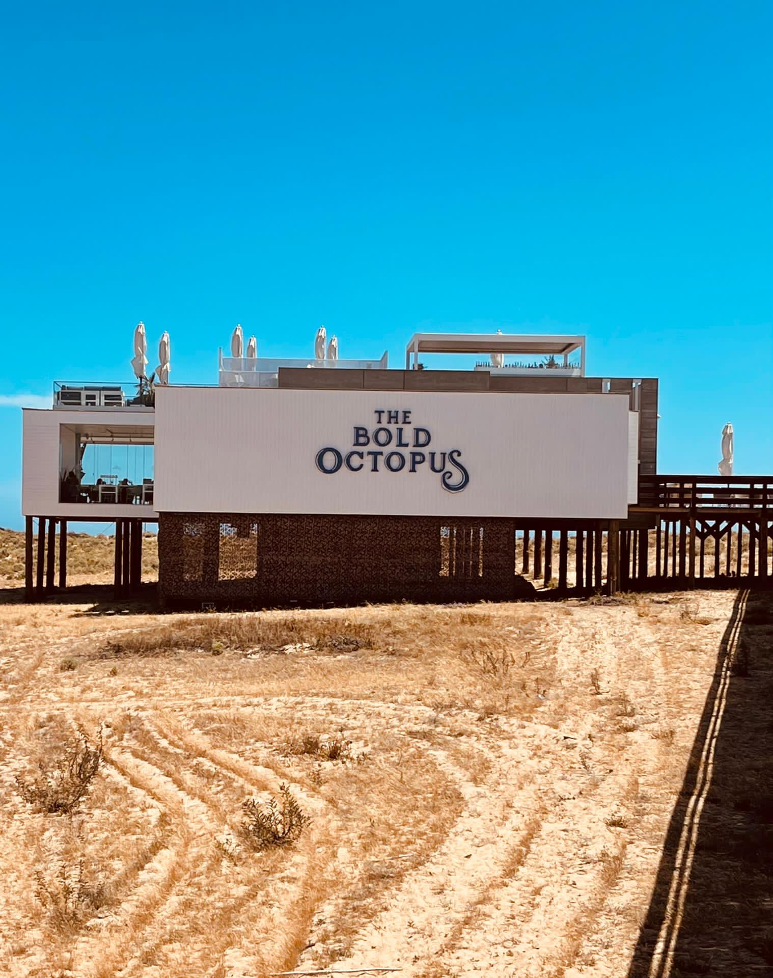 The Bold Octopus – Loyola Group